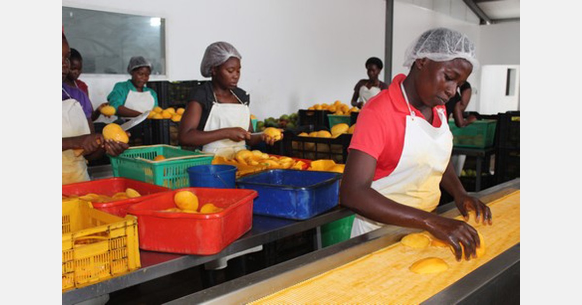 Mozambique: "Más de 5.000 proveedores nos suministran fruta para ...