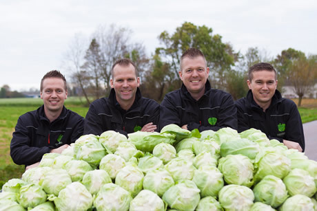 "Debido a la menor oferta de col picuda, los supermercados prefieren ...