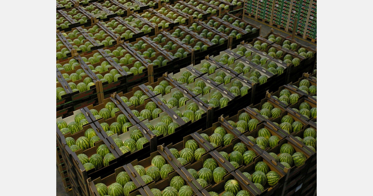 "El melón registra precios nunca antes vistos en esta época del año"