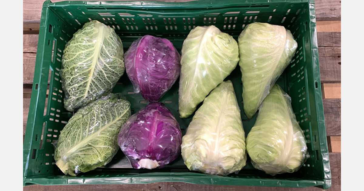 Un supermercado belga ofrece tres variantes de col picuda