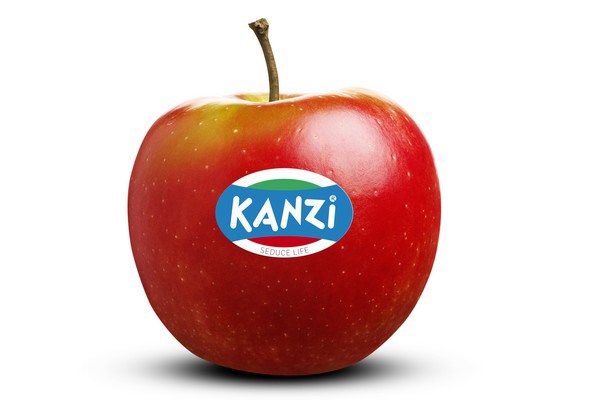 "El verano cálido ha favorecido la calidad de las manzanas Kanzi en ...