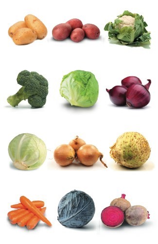 Simba Vegetables se traslada y apuesta por un crecimiento continuo