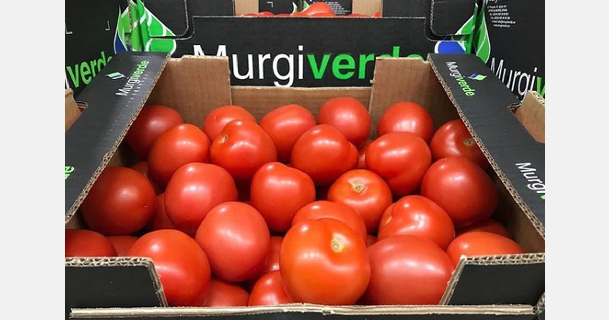 "Da igual que hablemos de tomates españoles redondos, de tipo pera o ...