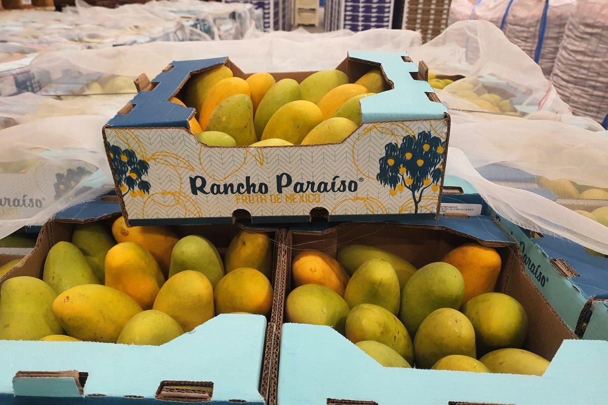 "Los aranceles a la importación de Trump ofrecen oportunidades para el ...