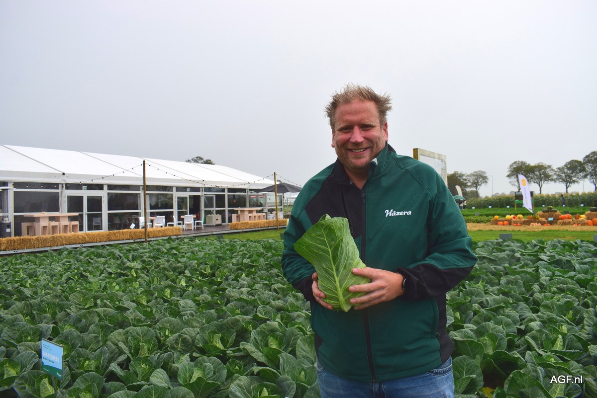 Nueva col picuda y cebollas con gran capacidad de conservación