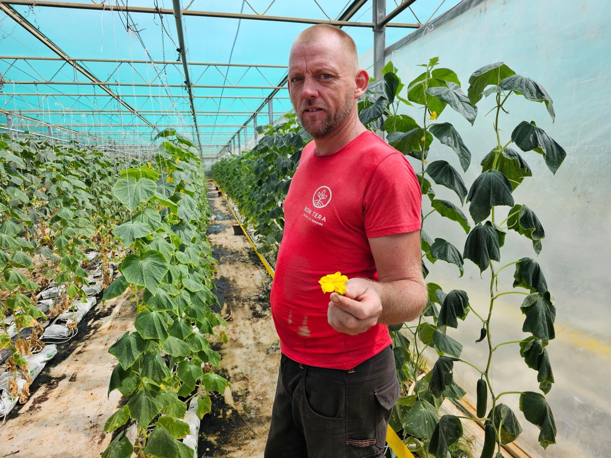 "Ser pionero en horticultura tropical en Bonaire significa, a menudo ...