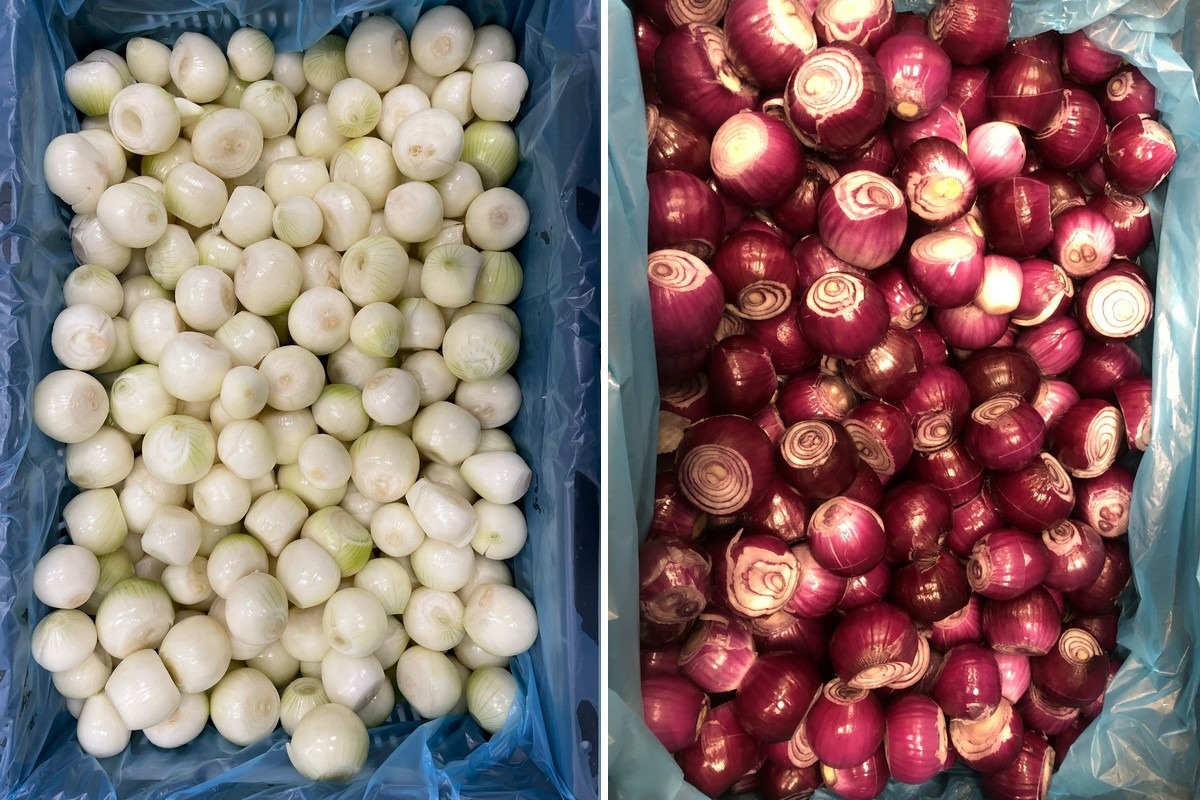 "Pelar las cebollas y chalotas de tamaños demasiado pequeños nos ...