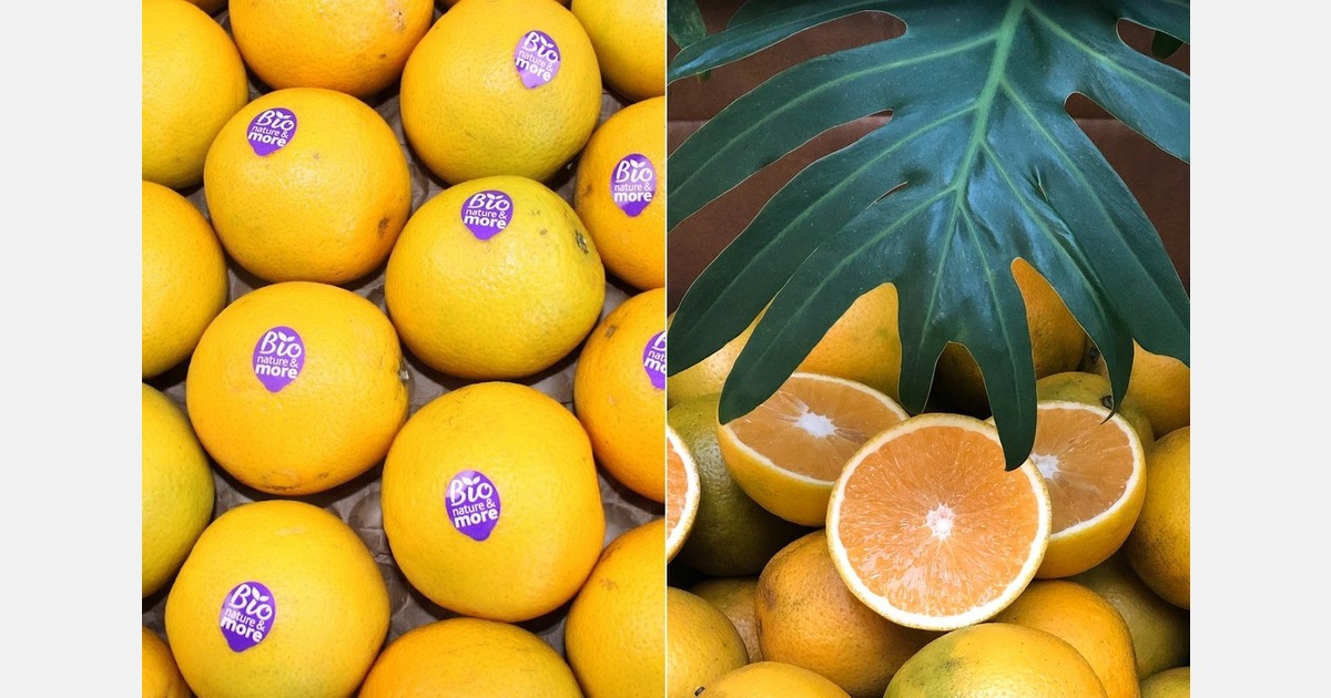 "Naranja ecológica peruana con alto contenido en zumo"