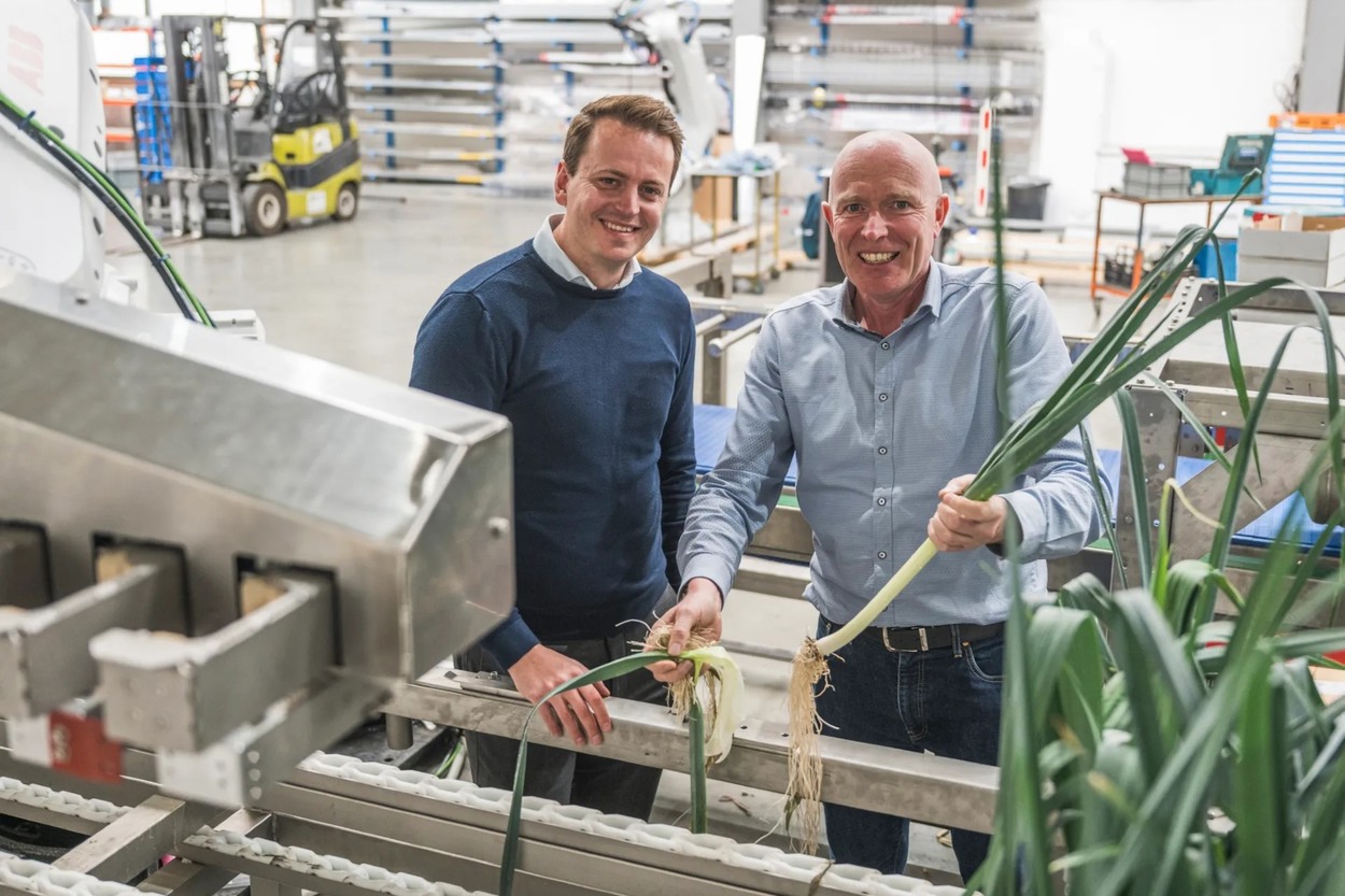 La robótica hace escalable el cultivo del puerro hidropónico