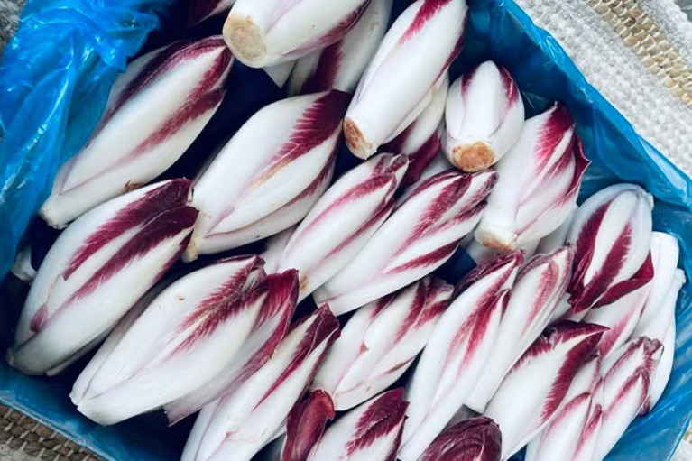 "Gracias a nuestra planta de corte podremos posicionarnos aún mejor en ...