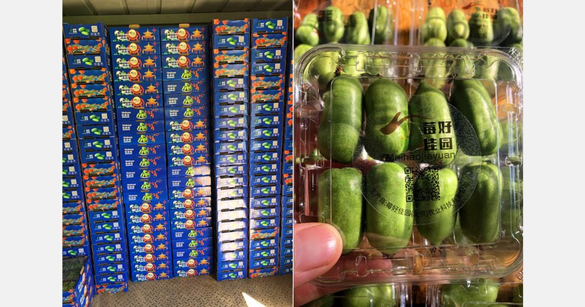 "Una gran cantidad de kiwiberries se lanzaron al mercado en vísperas ...