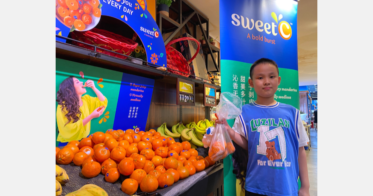Aumenta la demanda de mandarinas sudafricanas en China y los precios ...