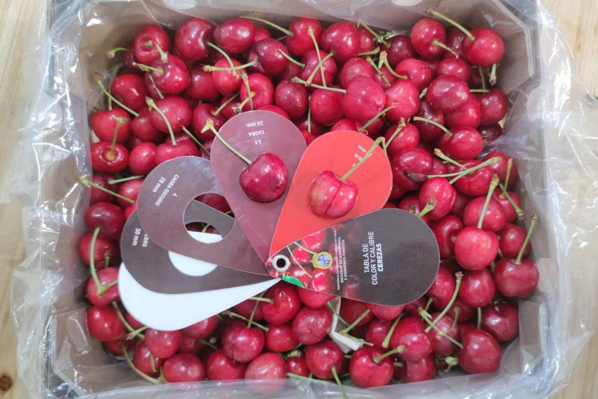 "La calidad y el precio de las cerezas chilenas se han estabilizado y ...