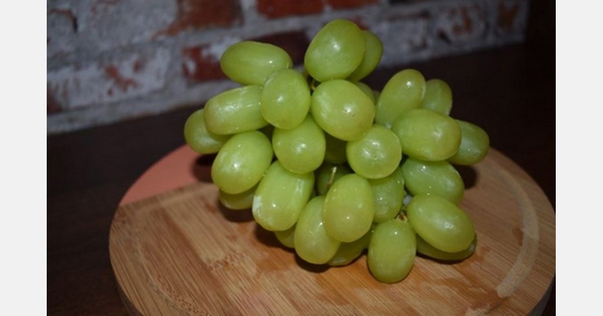 Llegan a Europa las primeras uvas ARRA 15 y Maylen® desde la India