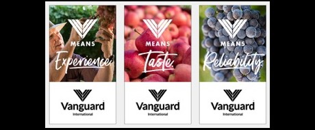 Nuevas campañas de marketing para Vanguard International