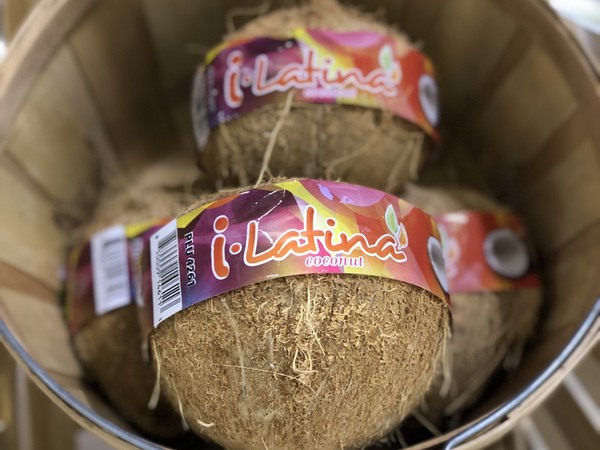 "Crecen los volúmenes y la demanda de cocos en los Estados Unidos"