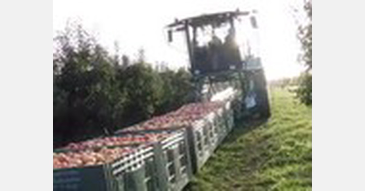 Transporte de 20 cajones de manzanas por carga