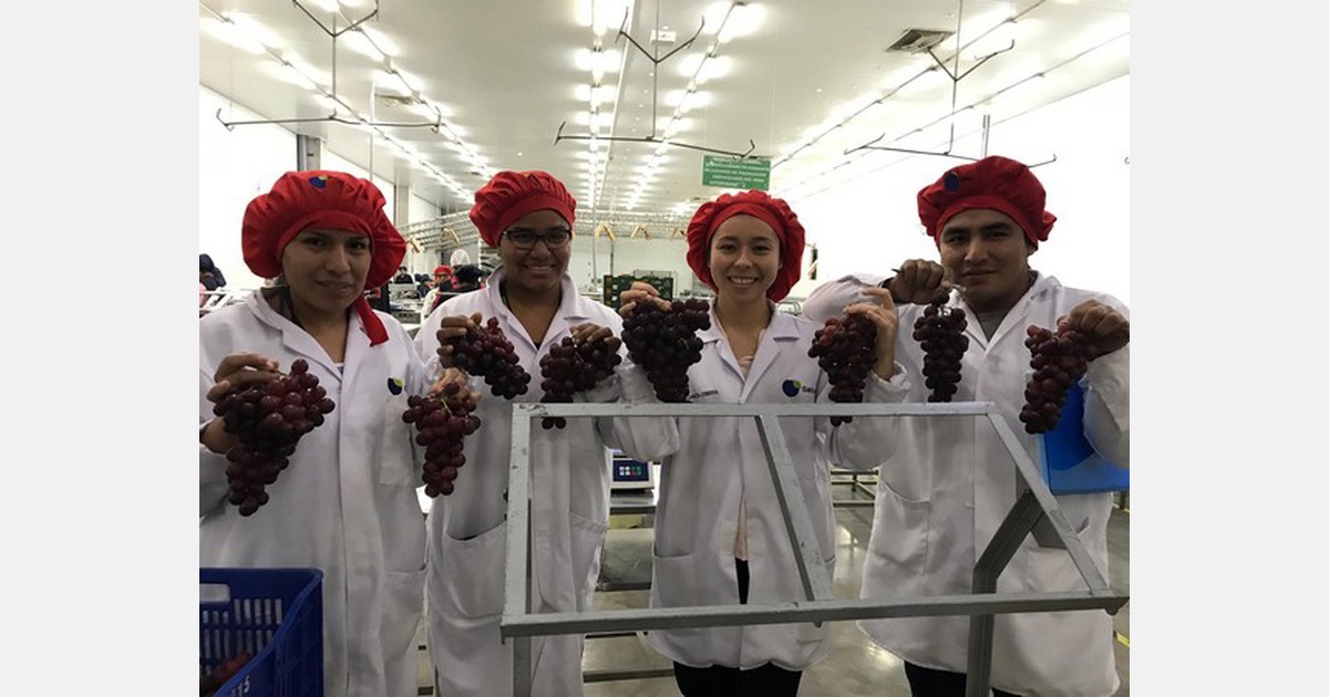 Awe Sum Organics marca la diferencia en la comunidad local y global