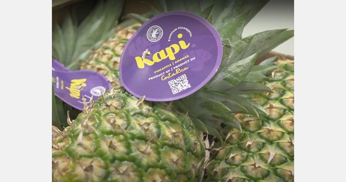 La marca de fruta tropical Kapi Kapi quiere ampliar su presencia en ...