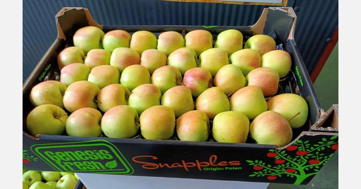 "Si vendiésemos todas las manzanas ahora, no nos quedaría fruta para el ...