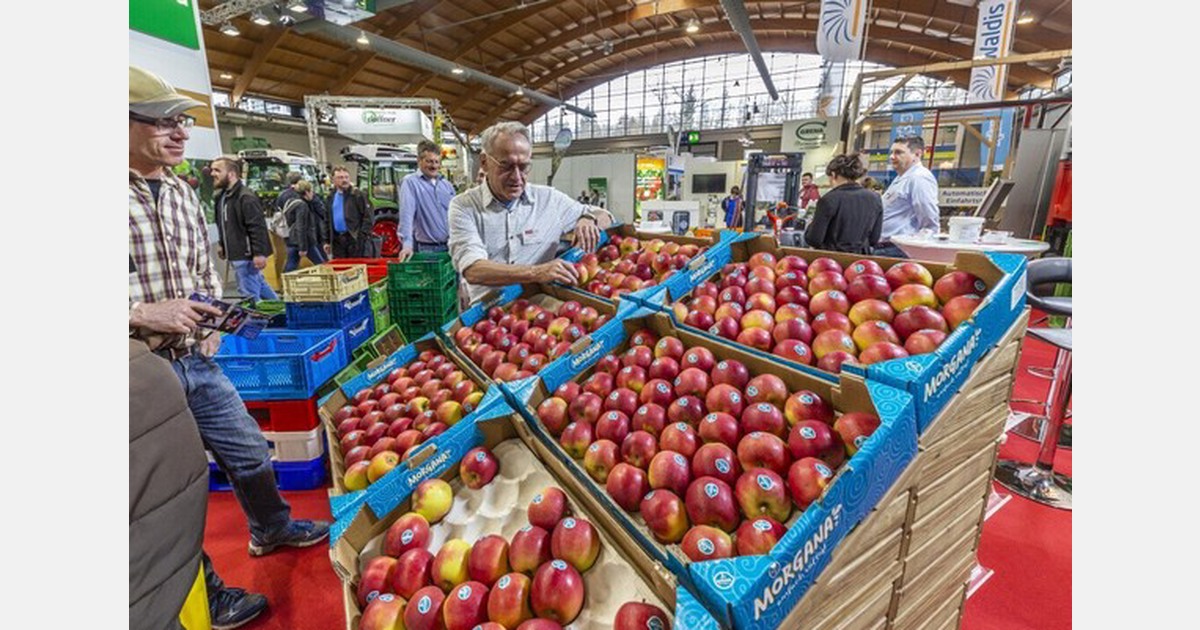 Fruchtwelt Bodensee se adelantará para afrontar los retos del sector