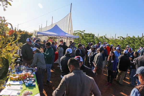 Productores de cerezas de Chile recorren los huertos de Cheery Moon