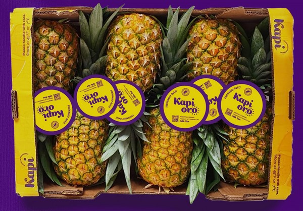 Kapi Kapi Growers añade piñas Oro a su línea de productos