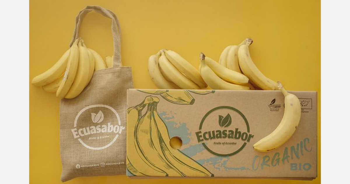El banano ecuatoriano, a la reconquista de la cuota de mercado en ...