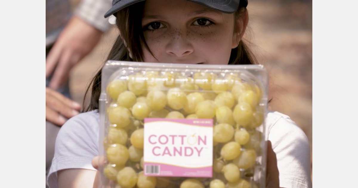 International Fruit Genetics LLC celebra 20 años de uvas Cotton Candy