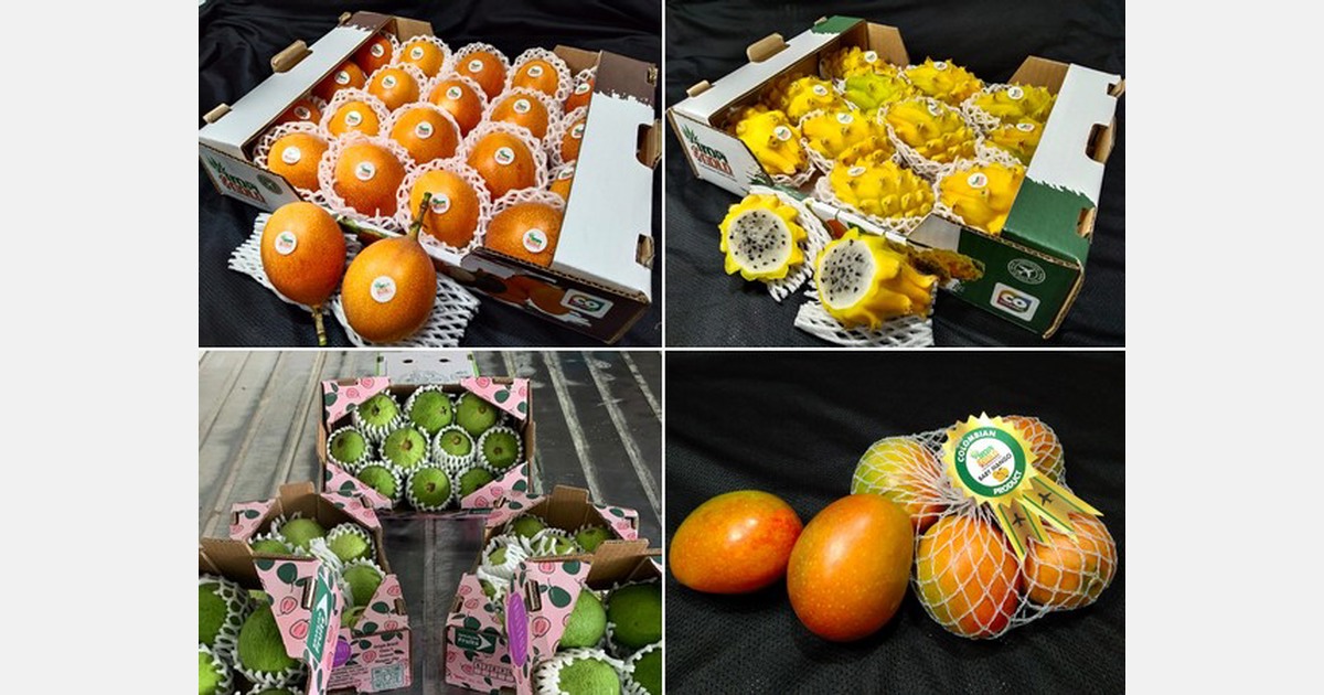 "La confianza es nuestra principal garantía"