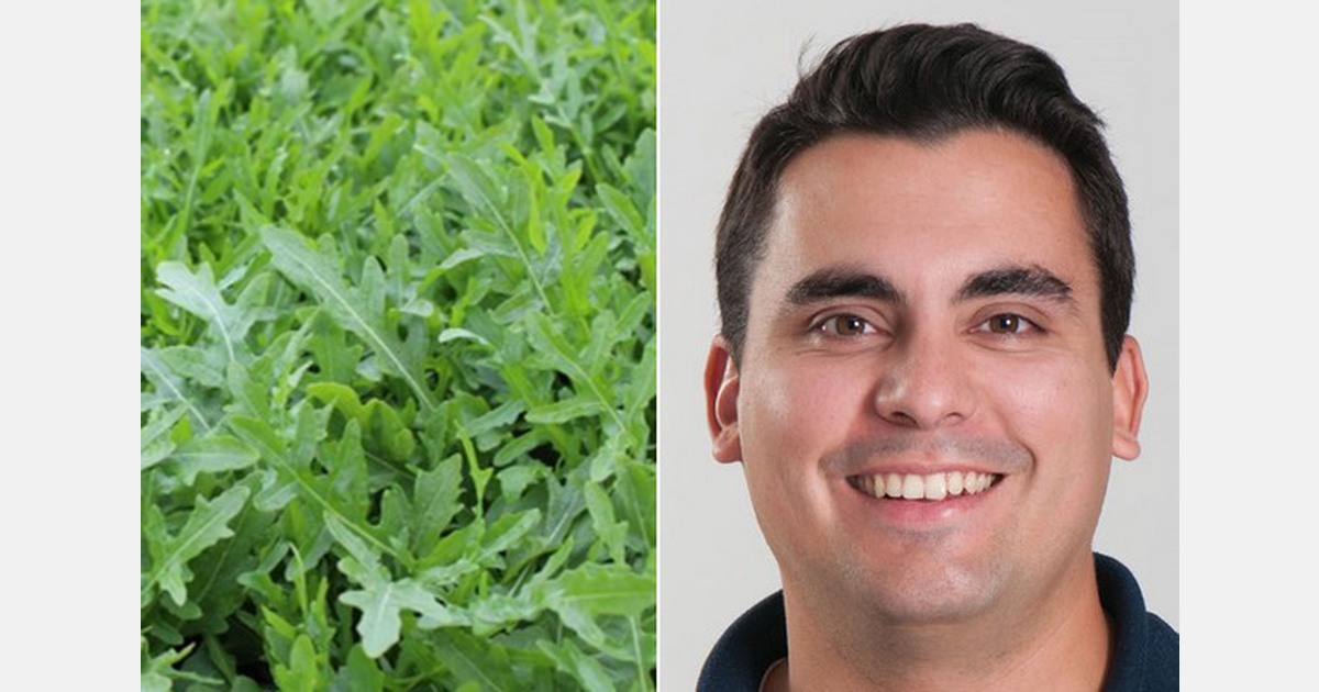 Tozer Seeds pone de relieve las variedades primaverales de rúcula