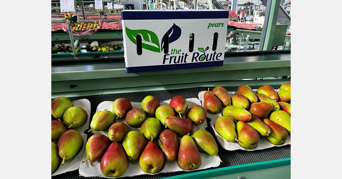 Sudáfrica espera una buena temporada de fruta de pepita
