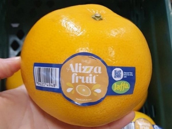 El cítrico Alizza Fruit™ es galardonado con el Superior Taste Award