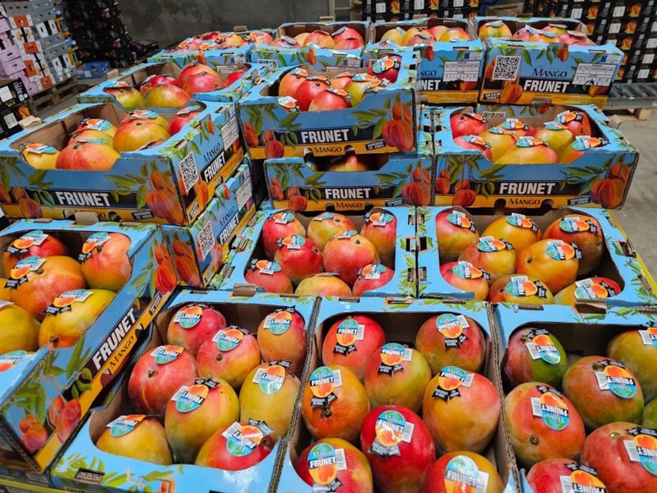 Rodeo Fruit, productor mexicano de mango, se adapta a los retos mundiales