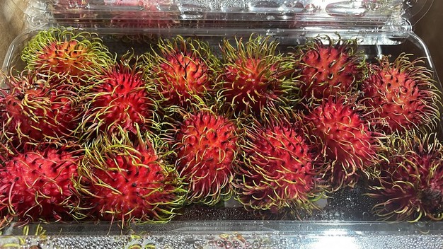 Ya está disponible el programa de rambután hondureño