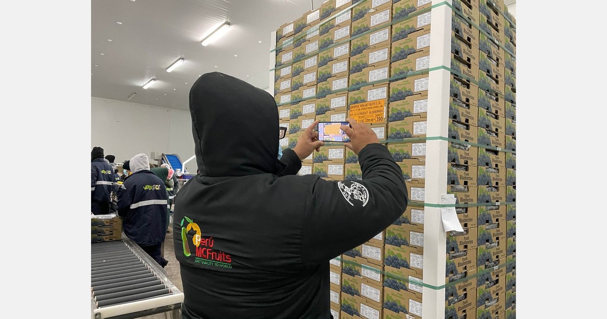 "Fundé mi negocio de exportación de fruta peruana cuando tenía 20 años"