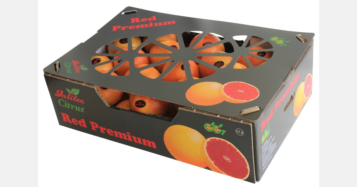 Visión general de la producción y los mercados de aguacates y cítricos ...