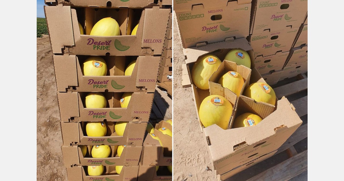 ¿Son los melones Orange Candy el futuro de la categoría de melón?