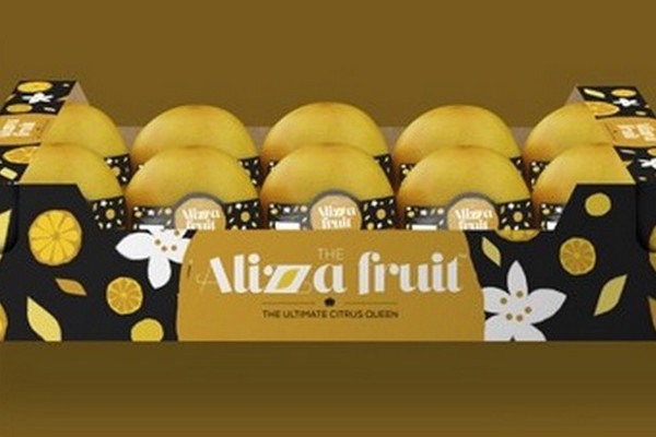 La 3.ª temporada de The Alizza Fruit™ logra un prestigioso premio y el ...