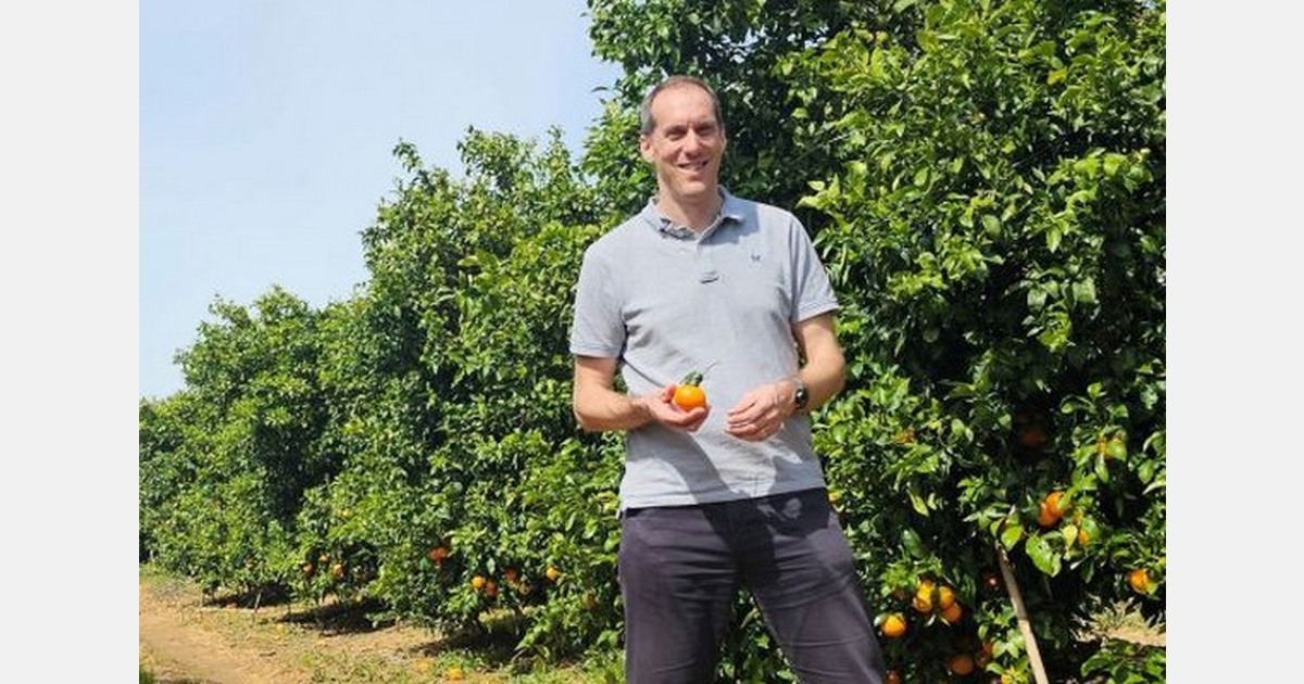 AMFRESH Group contrata a Ian Wood como director general para el Reino ...