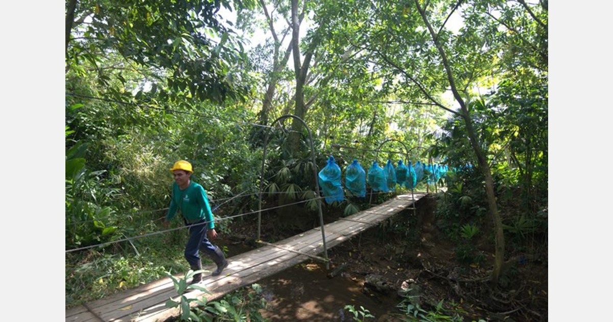 Banacol apuesta por la creación de empleo y el progreso en Colombia