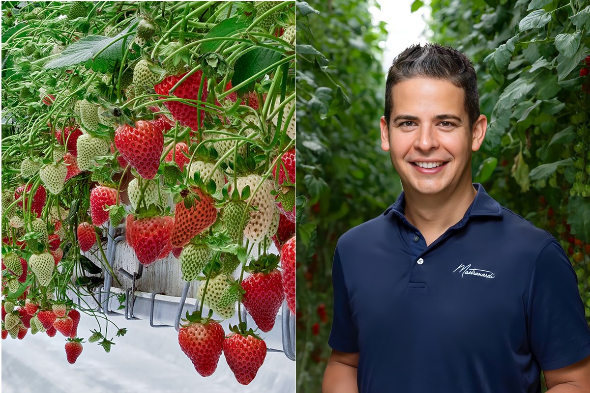 Mastronardi Produce ofrece los sabores de las berries del verano todo ...