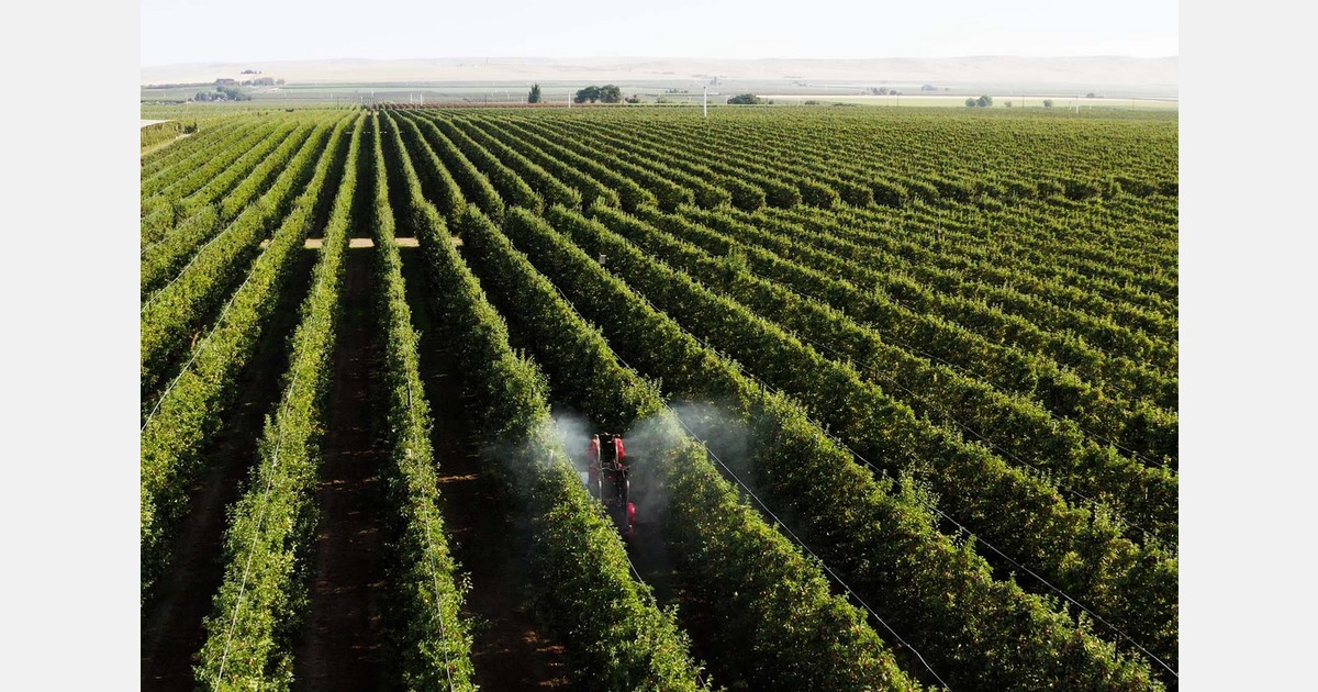 Robotics Plus presenta el vehículo autónomo Prospr para la gestión de frutales y viñedos