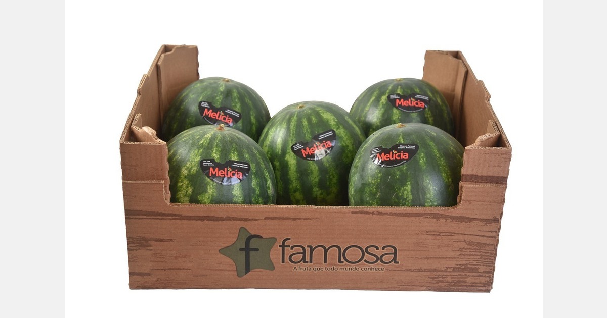 "Esperamos aumentar un 15% las exportaciones de melón y recuperar lo ...