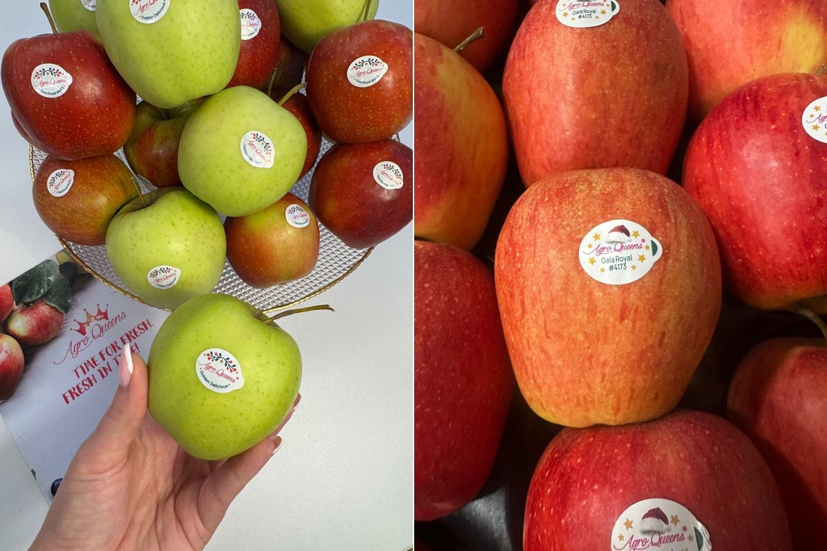 "Las manzanas están almacenadas, a la espera de mejores precios de la ...