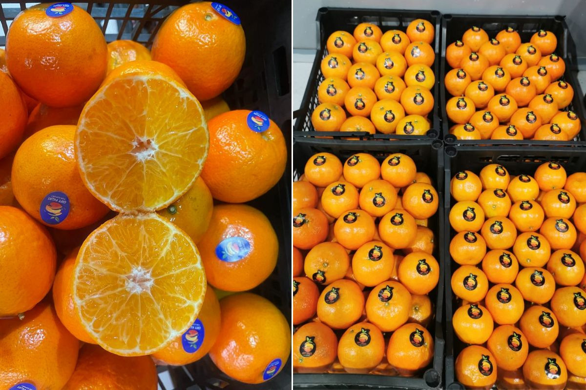 "Hacemos una mejor selección de mandarinas esta temporada"