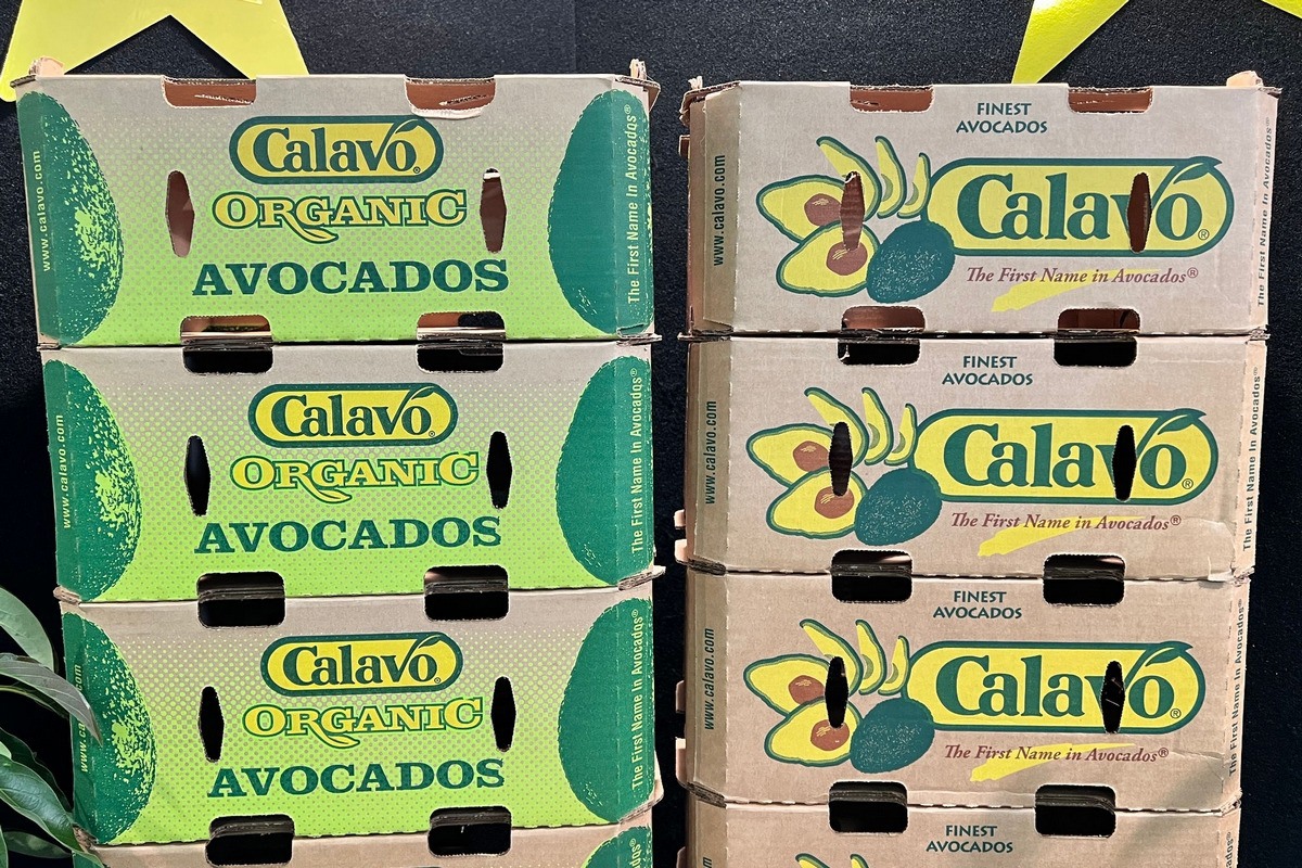 Calavo Growers registra 661,5 millones de dólares en ventas en 2024