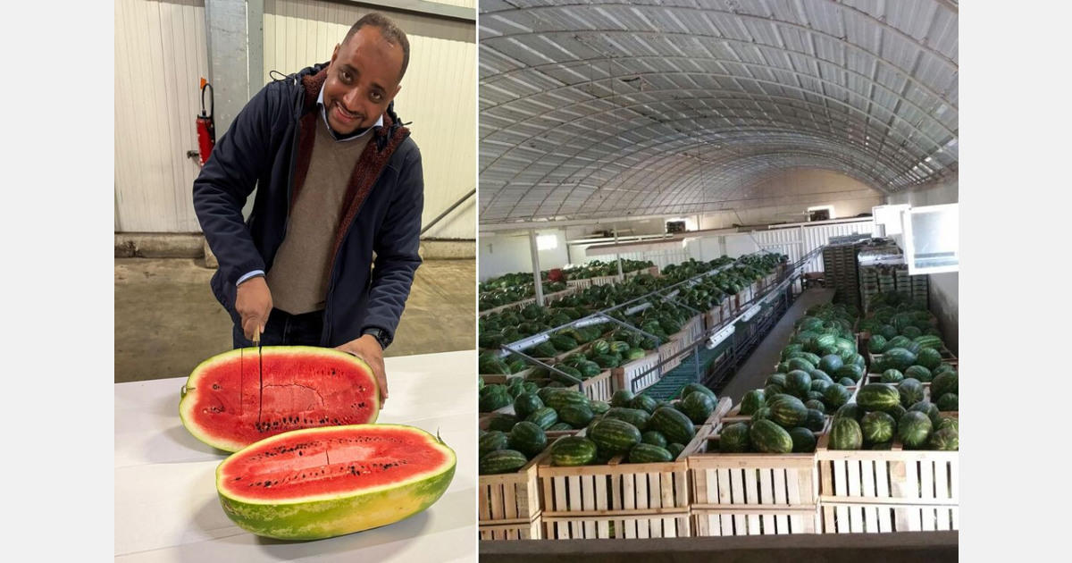 Las restricciones a la producción siguen afectando a los productores ...