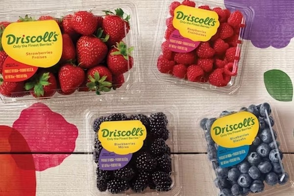 Driscoll's, la segunda marca de gran consumo en la categoría de alimentos y bebidas en EE. UU.