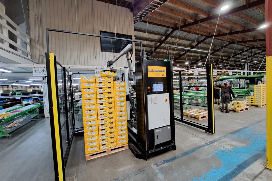 Seeka prueba un nuevo apilador robótico en Kiwi Kool Packhouse